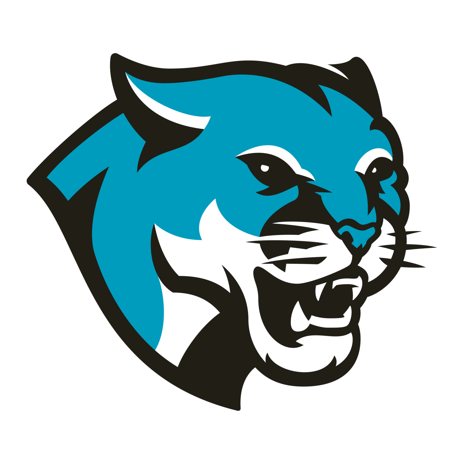 Professional Sports Team Logo Design | Dunson Design