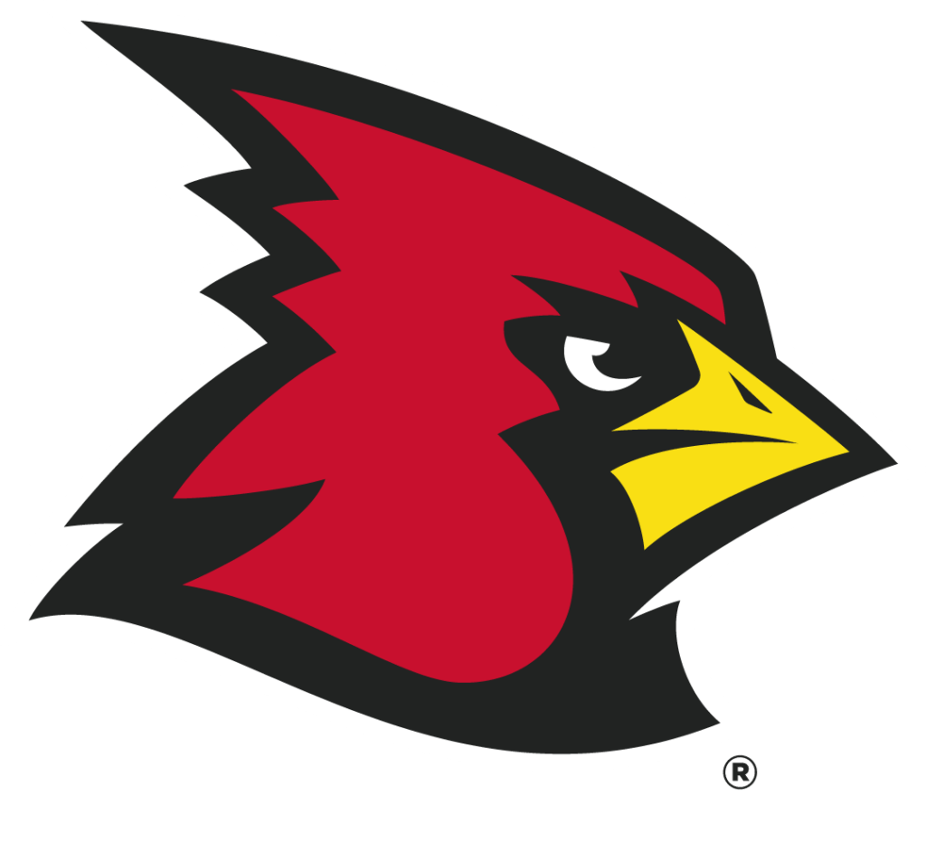 Professional Sports Logos For Teams - Dunson Design Co.