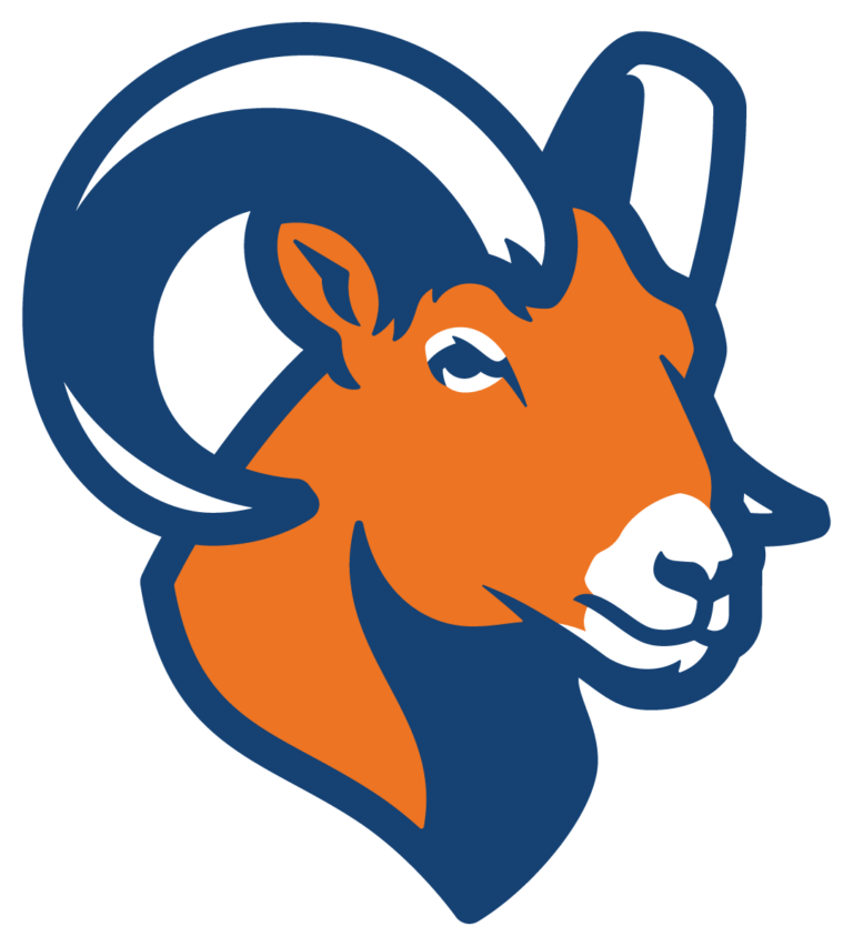 Professional Sports Team Logo Design | Dunson Design