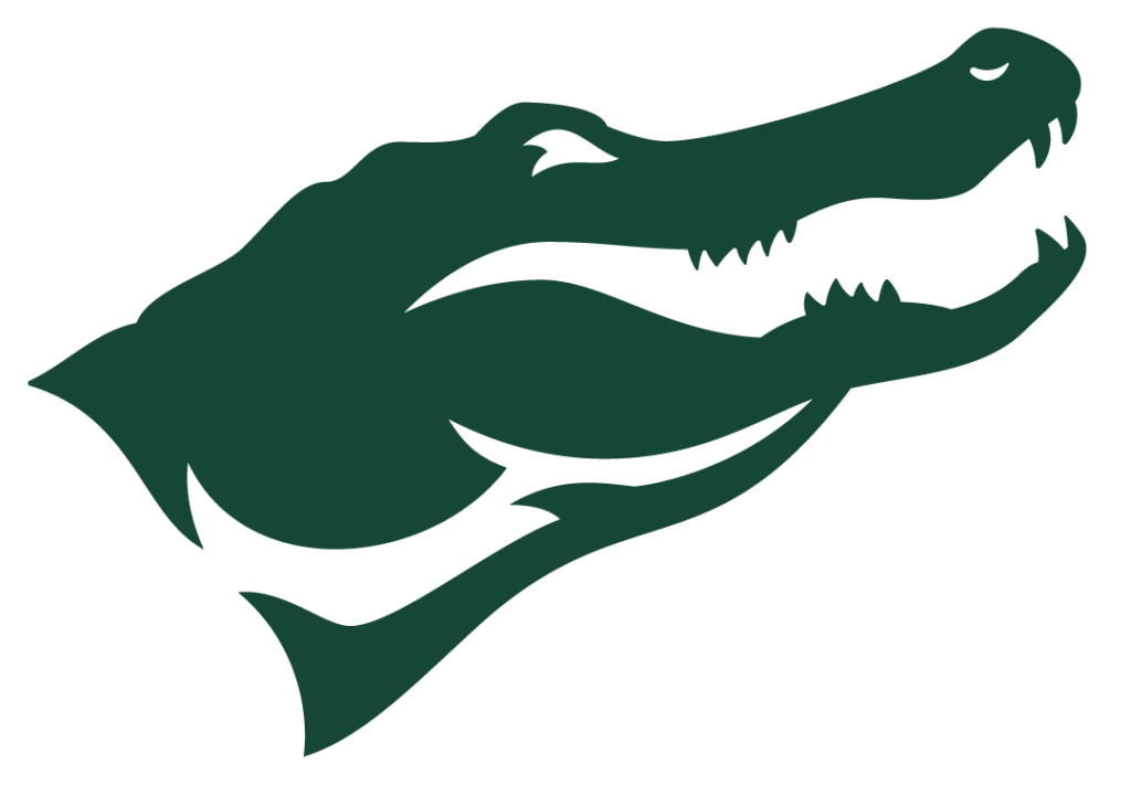 Professional Sports Team Logo Design | Dunson Design
